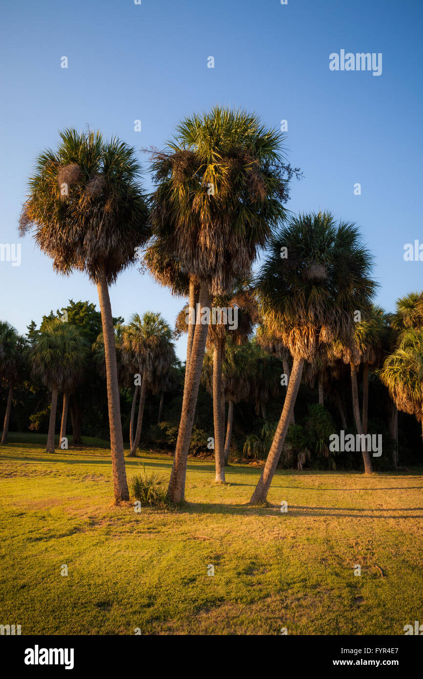 Beautiful park summer view Stock Photo - Alamy