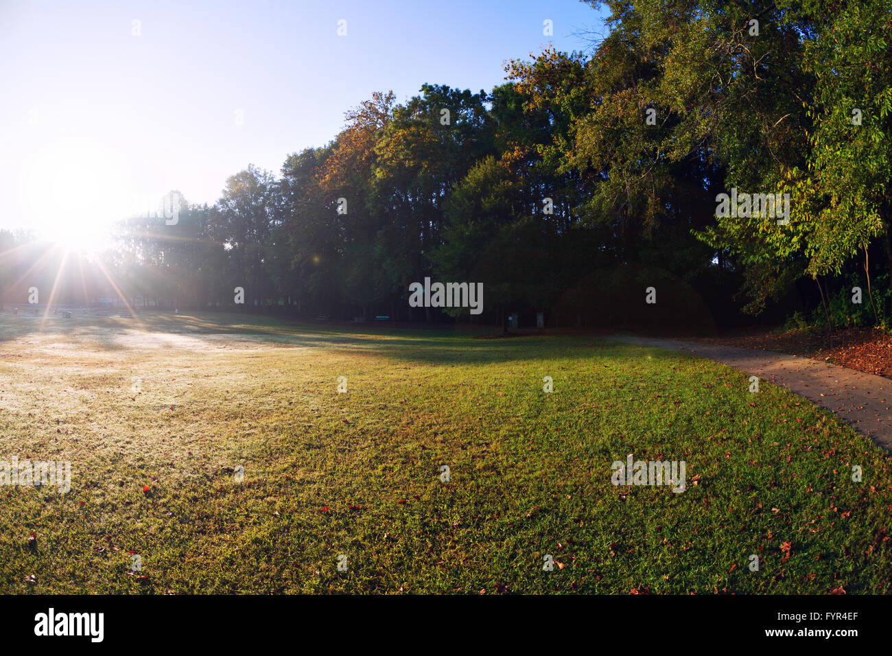 Beautiful park morning view Stock Photo - Alamy