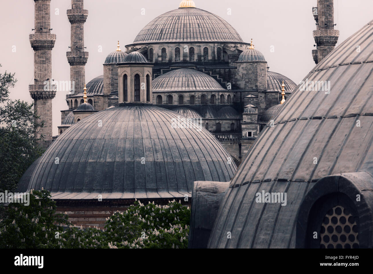 Mosque architecture hi-res stock photography and images - Alamy