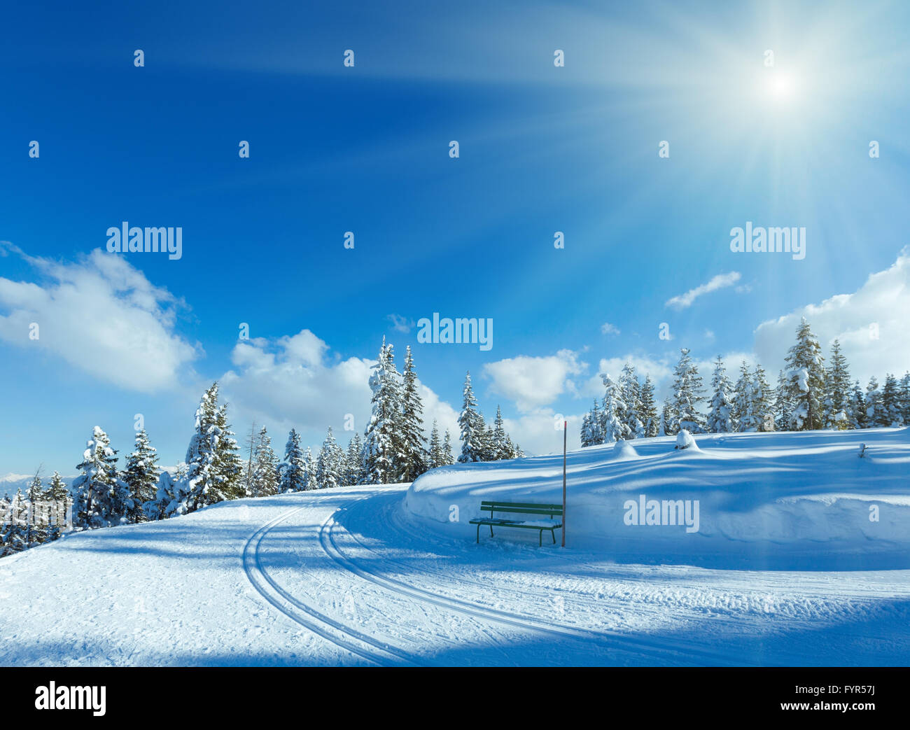 Winter mountain fir forest landscape Stock Photo - Alamy