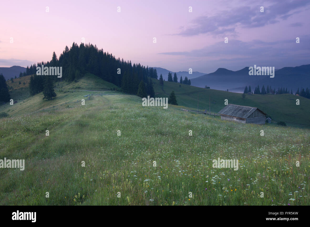 Before sunlight hi-res stock photography and images - Alamy