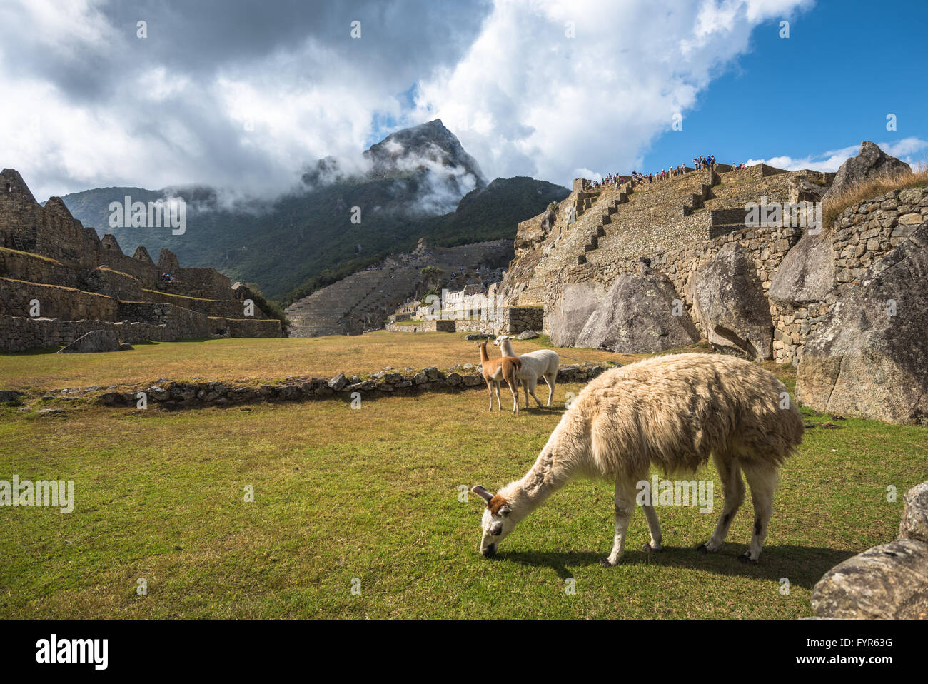 Machu Picchu, UNESCO World Heritage Site. One of the New Seven Wonders ...