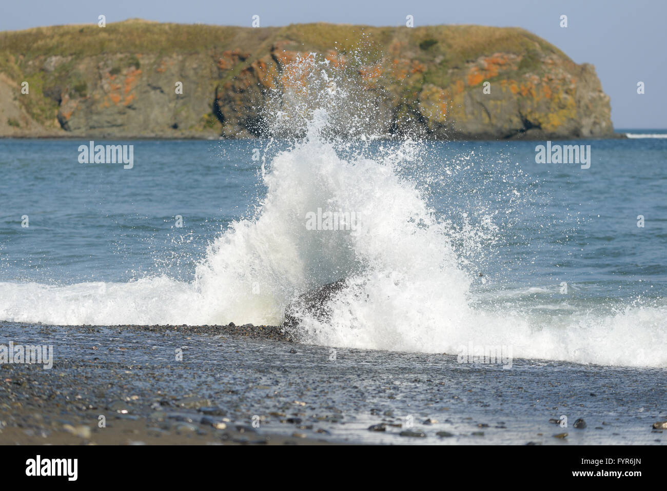 Sea spray, Sakhalin Island, Russia Stock Photo - Alamy