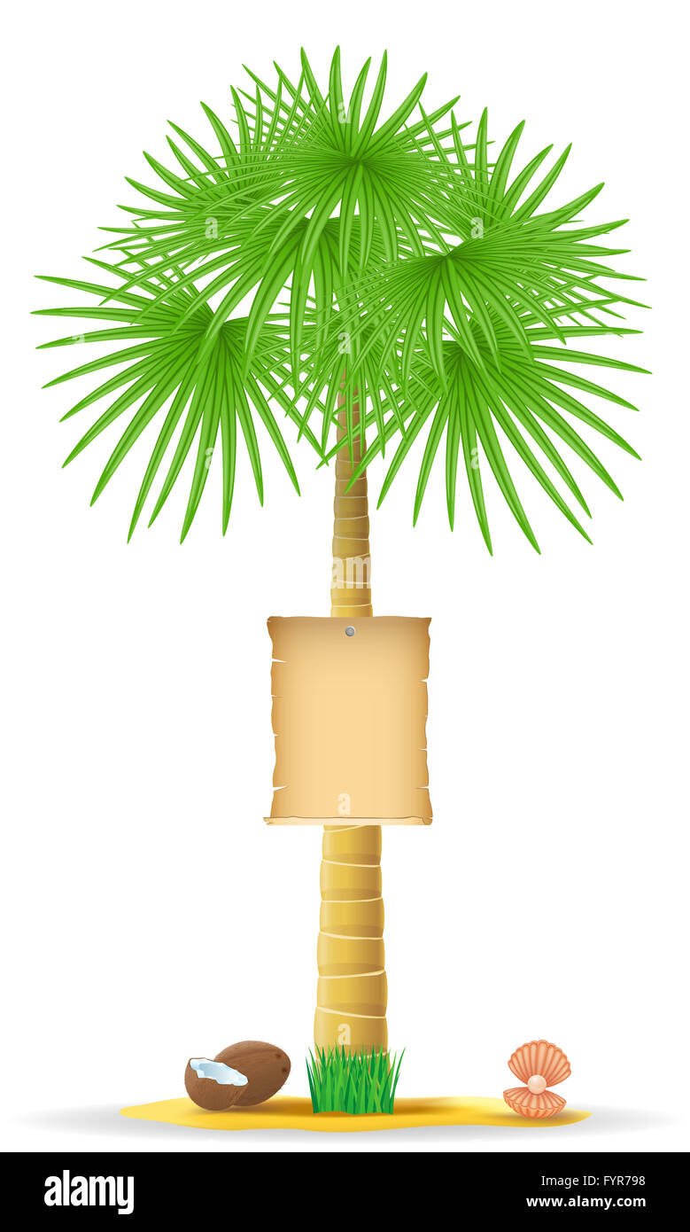 palm tree with a sign illustration isolated on white background Stock ...