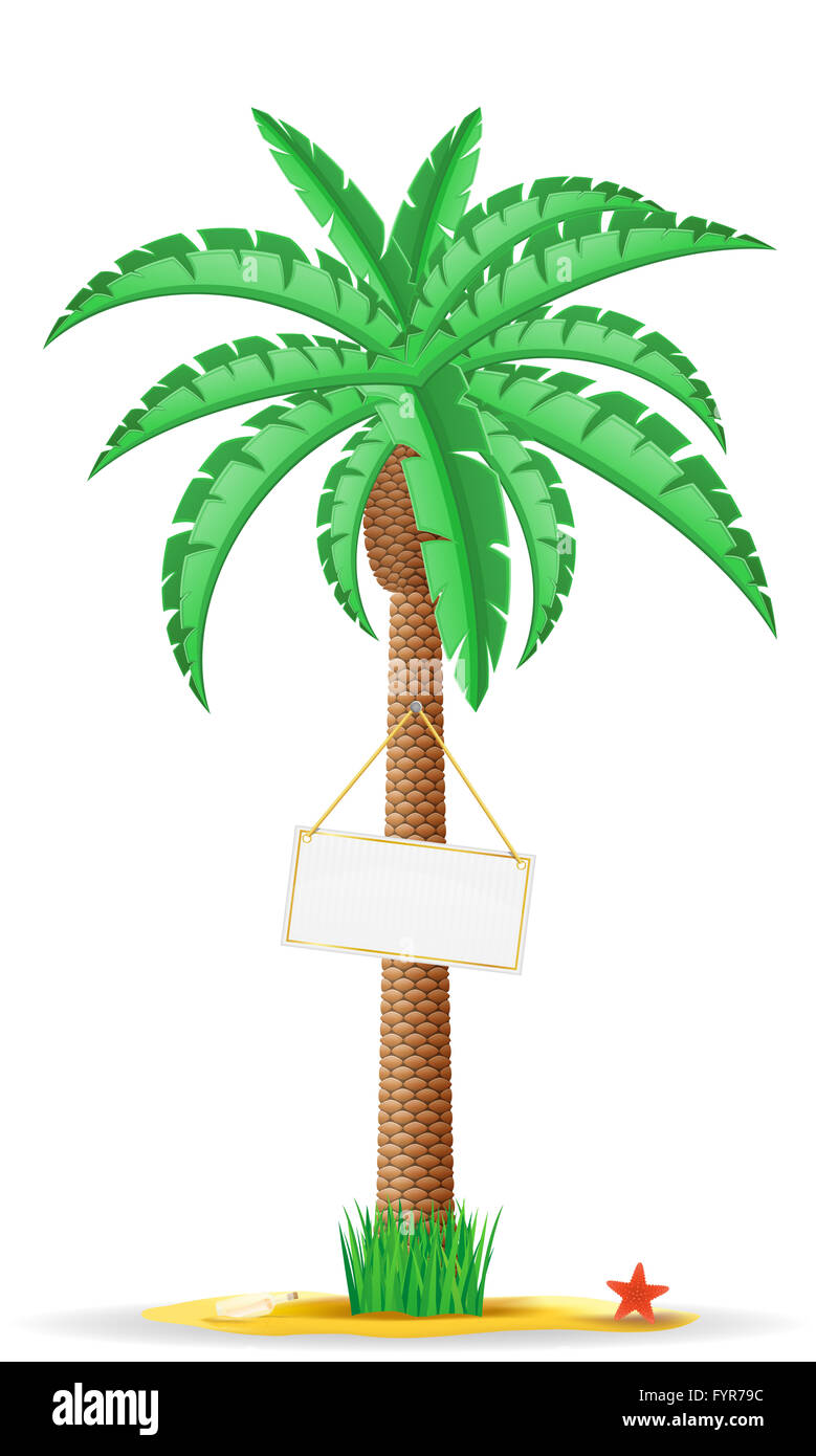 palm tree with a sign illustration isolated on white background Stock ...