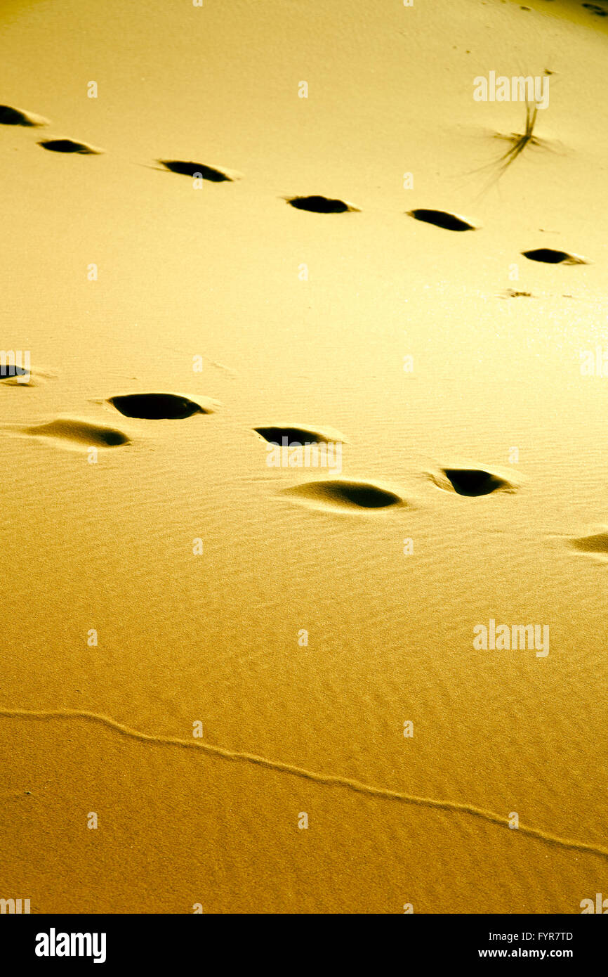 red footstep brown sand dune sahara Stock Photo - Alamy
