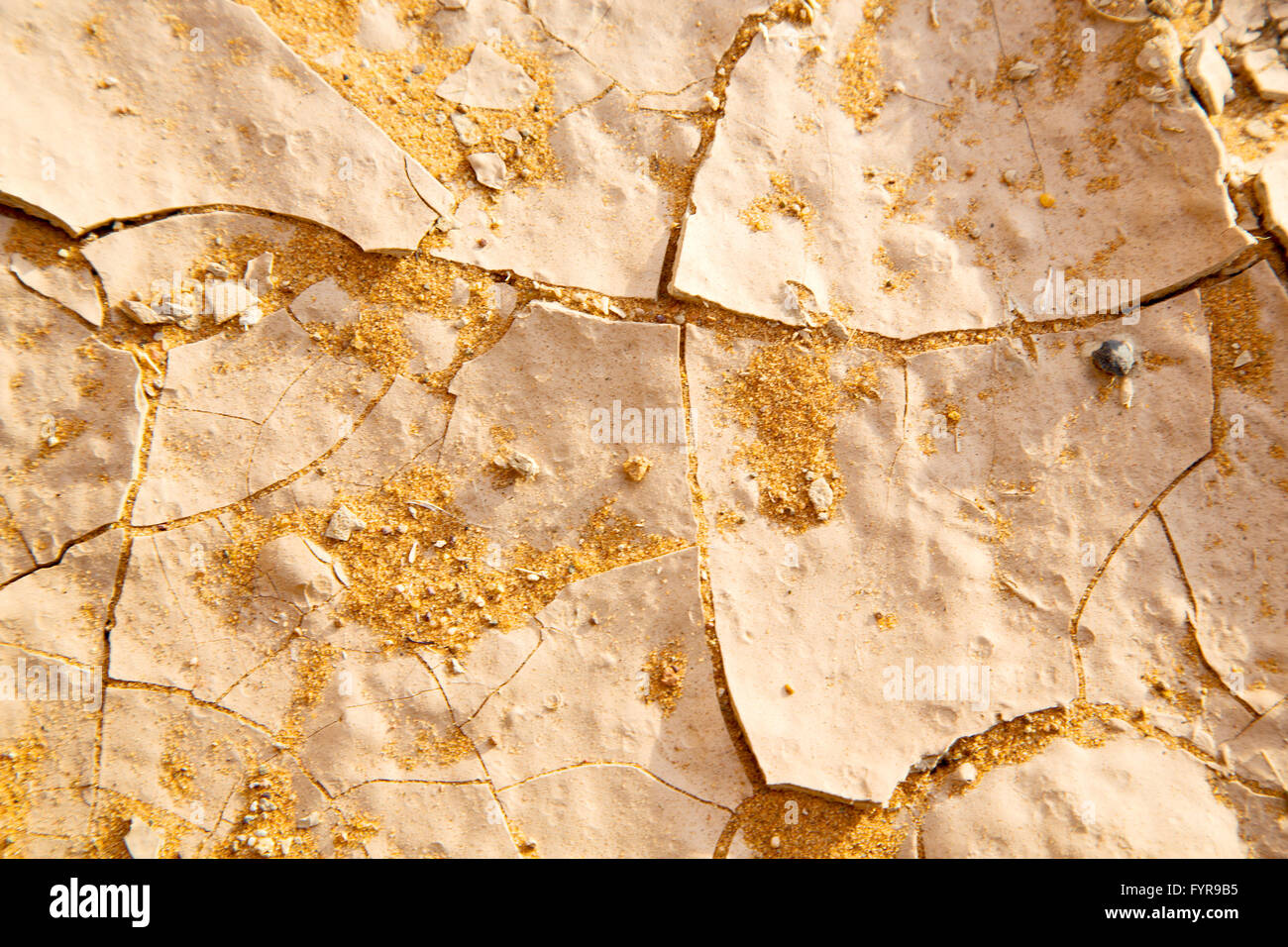 cracked sand in morocco africa desert Stock Photo - Alamy