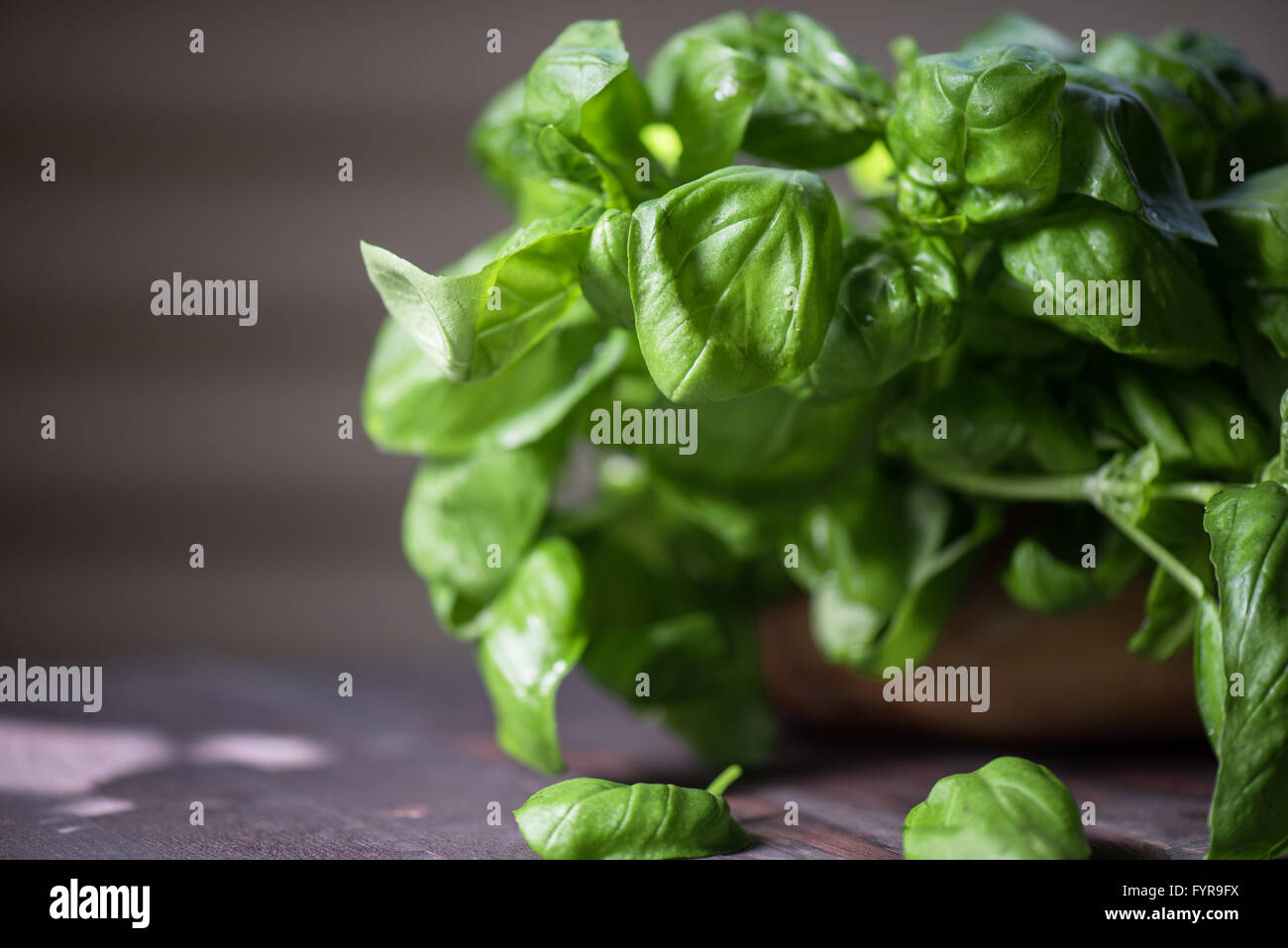Fresh organic basil Stock Photo - Alamy