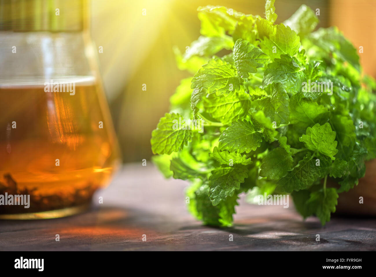Tea with green fresh melissa Stock Photo - Alamy