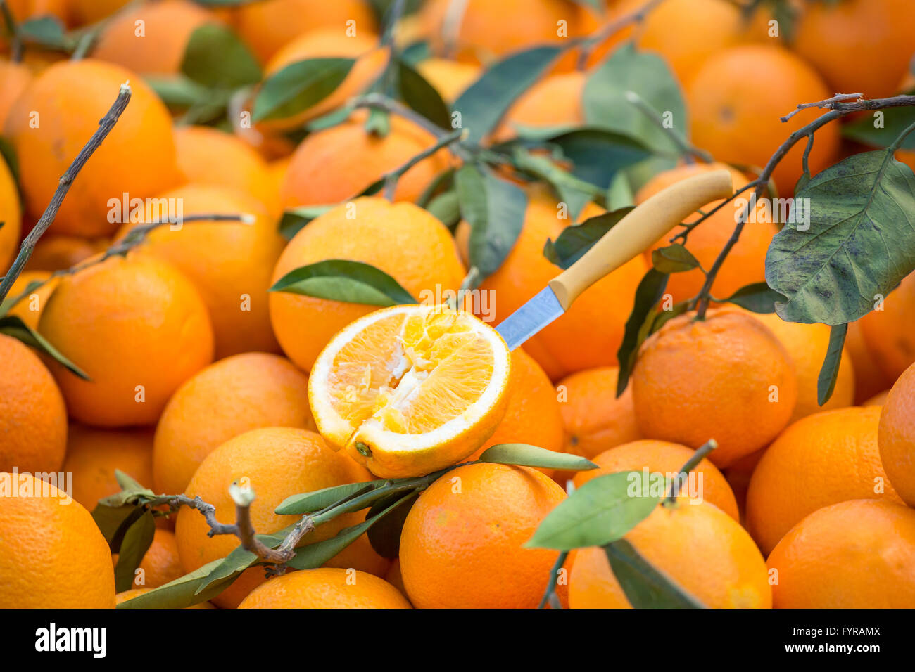 Orange market hi-res stock photography and images - Alamy