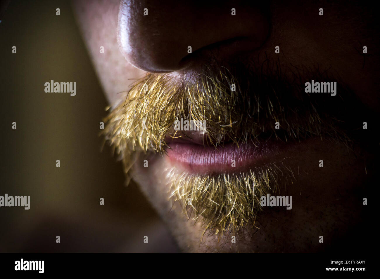 Close up macro dramatic serious mustache and facial hair Stock Photo ...
