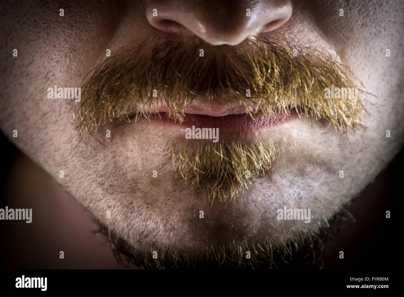 Close up macro dramatic serious mustache and facial hair Stock Photo ...