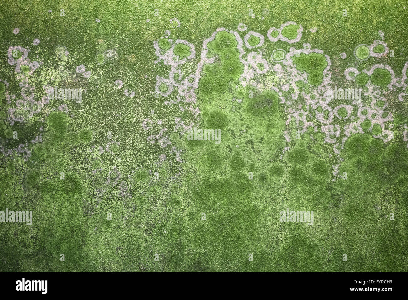 Moff High Resolution Stock Photography and Images - Alamy