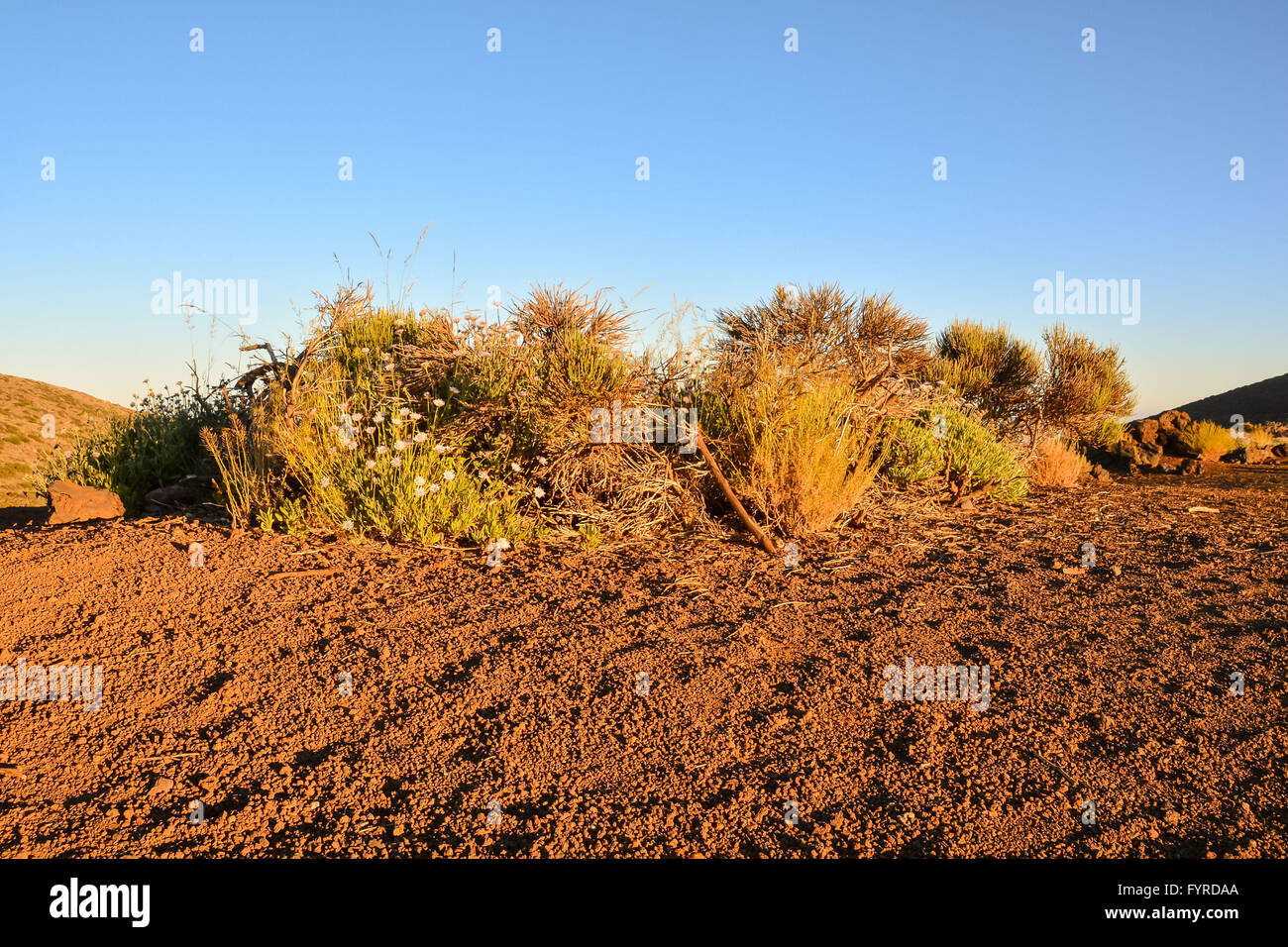 Arizona suset hi-res stock photography and images - Alamy