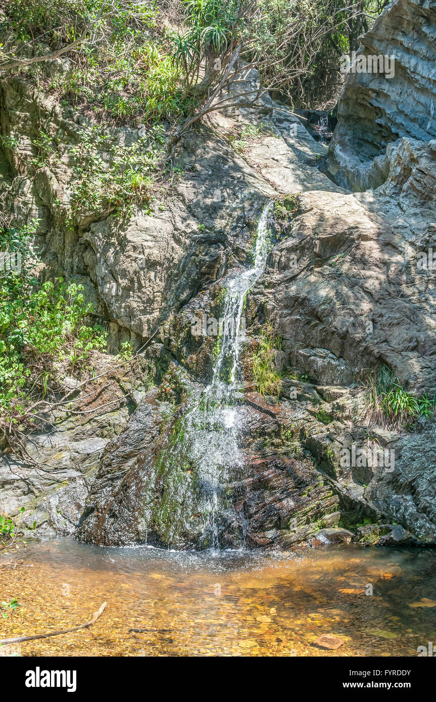 A small waterfall and pool near the mouth of the Storms River Stock ...
