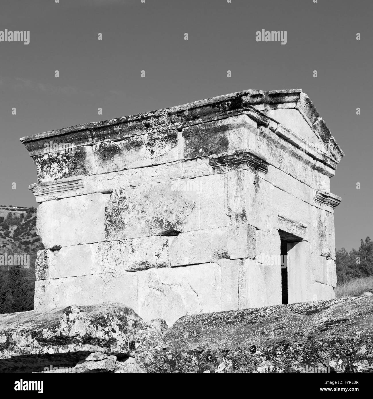 Tree pamukkale turkey Black and White Stock Photos & Images - Alamy