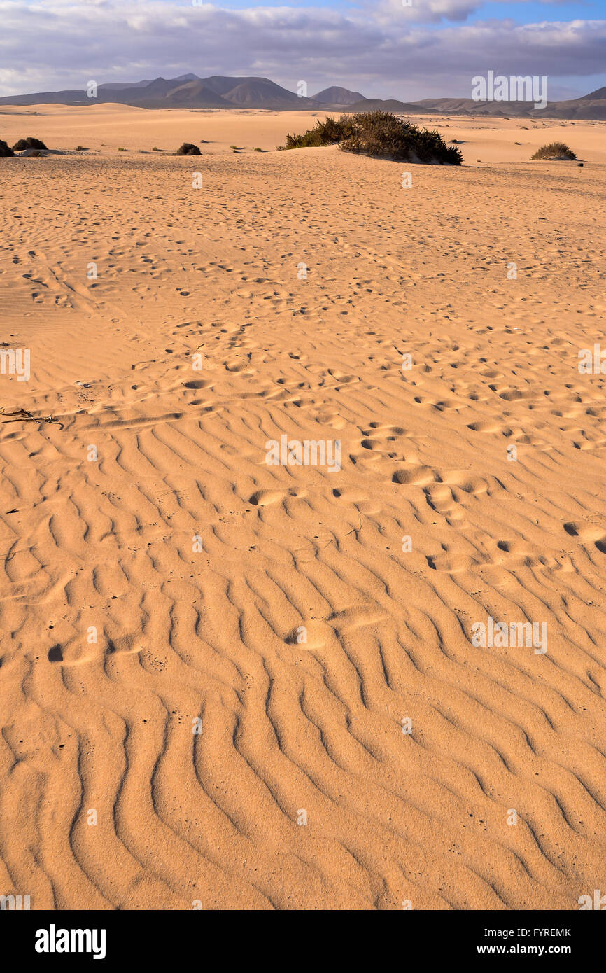 Dry Desert Landscape Stock Photo - Alamy
