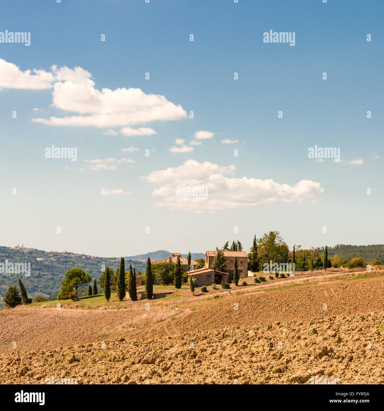Fields in Tuscany Stock Photo - Alamy