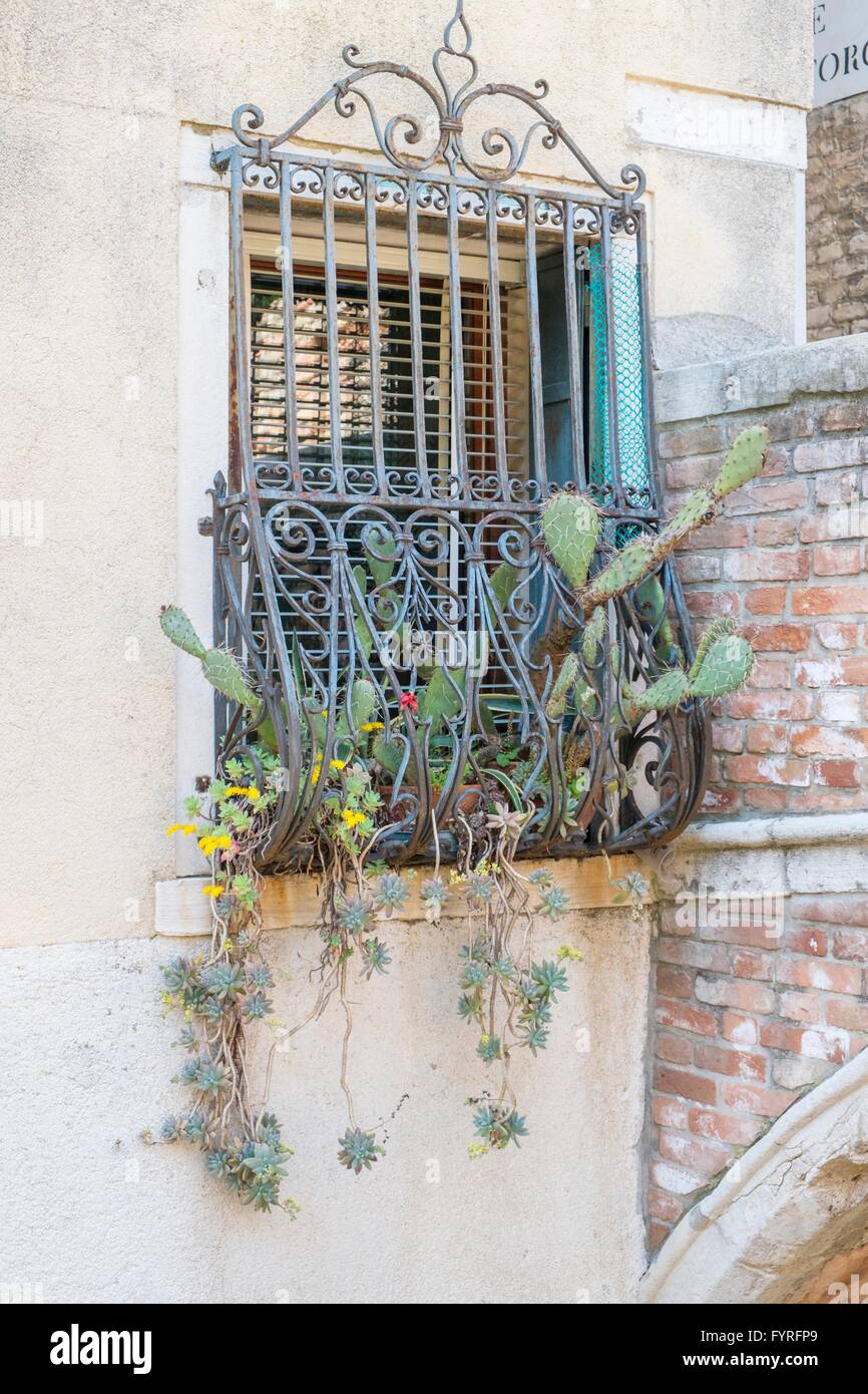 Window Grill Stock Photos & Window Grill Stock Images - Alamy