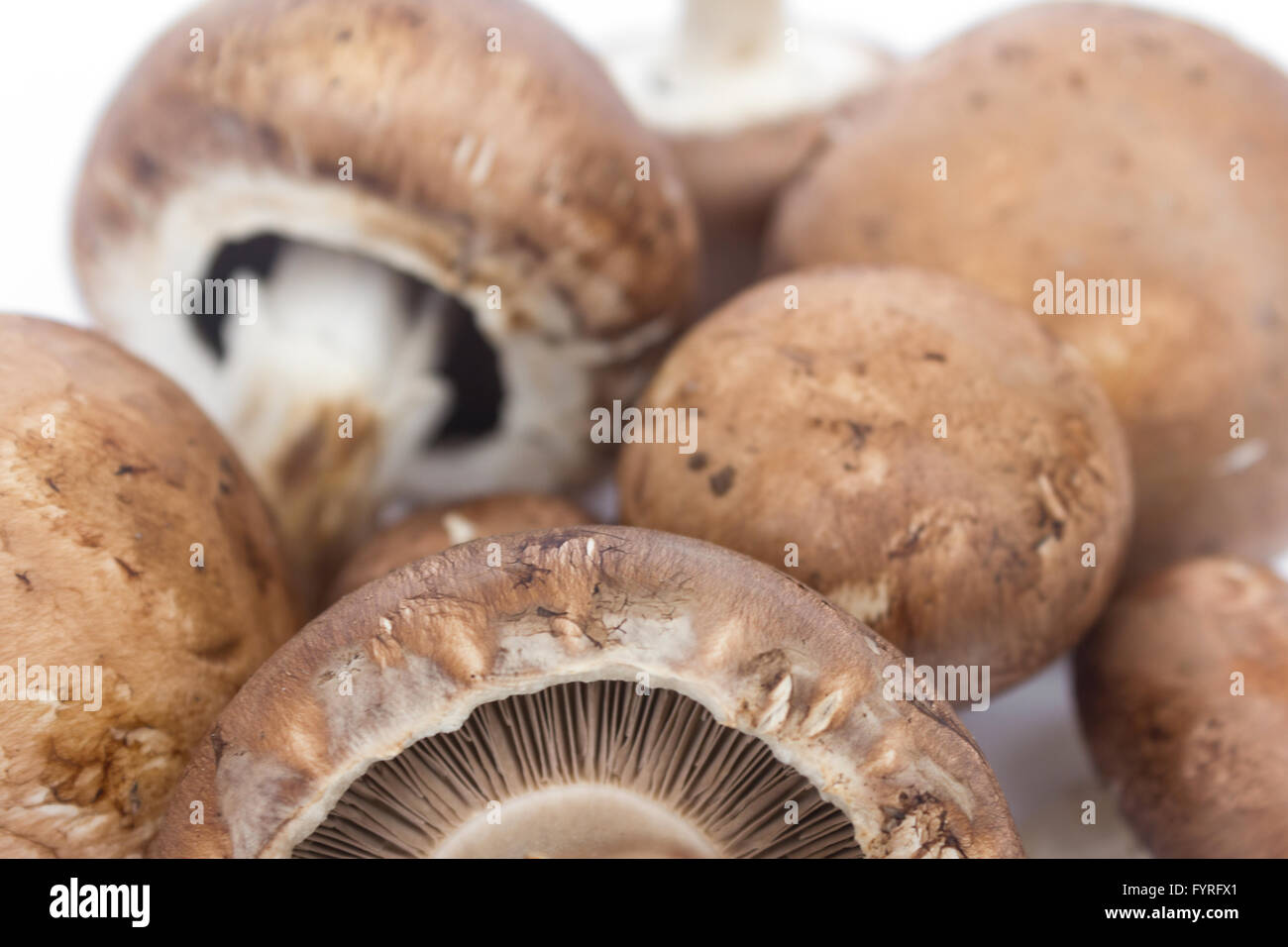 Champignons - fresh mushrooms Stock Photo - Alamy
