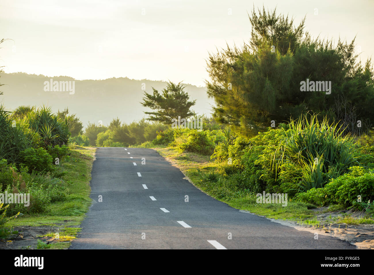 Sunny road hi-res stock photography and images - Alamy