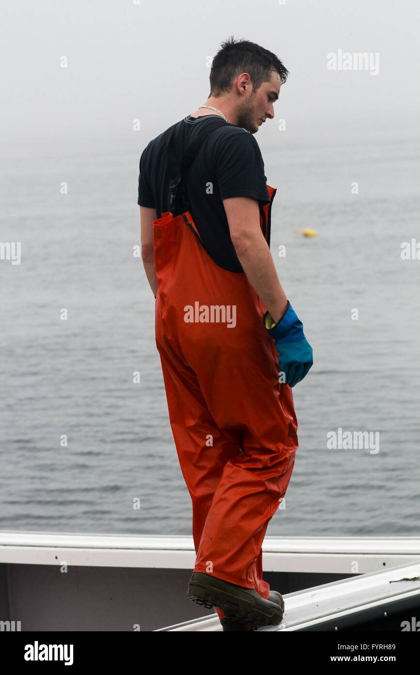 Lobster Fisherman in Atlantic Canada. Englishtown Stock Photo - Alamy