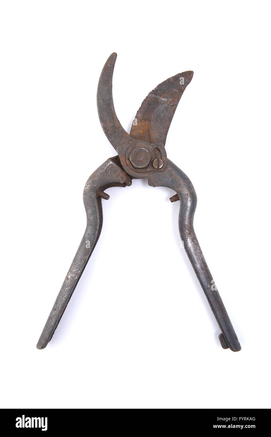 Rusty garden scissors hi-res stock photography and images - Alamy