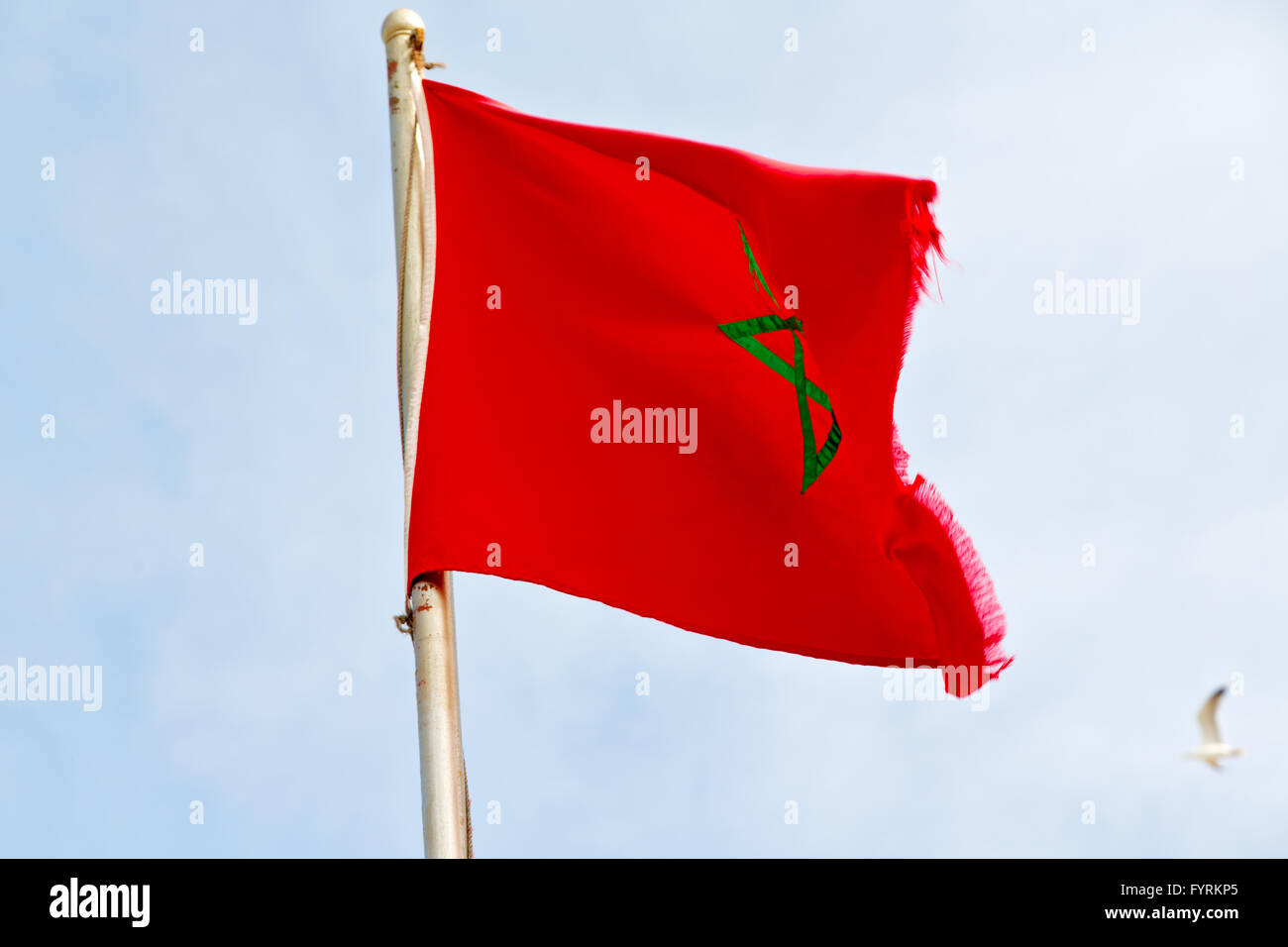 tunisia waving flag in the colour and wave Stock Photo - Alamy
