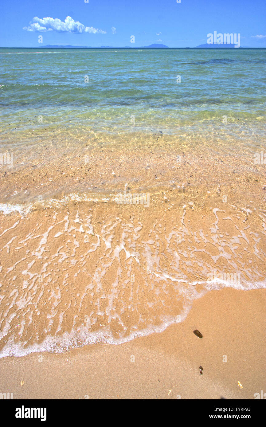 paradise seaweed indian be and foam Stock Photo - Alamy