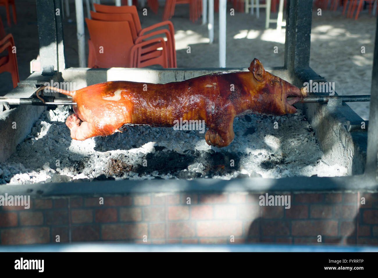 Roasted pig in Philippines boracay island Stock Photo - Alamy