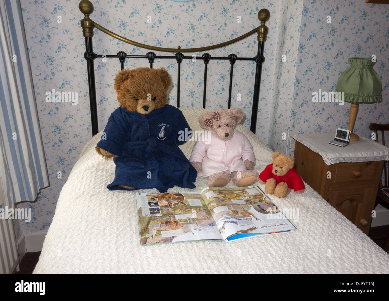 Reading cabinet hi-res stock photography and images - Alamy