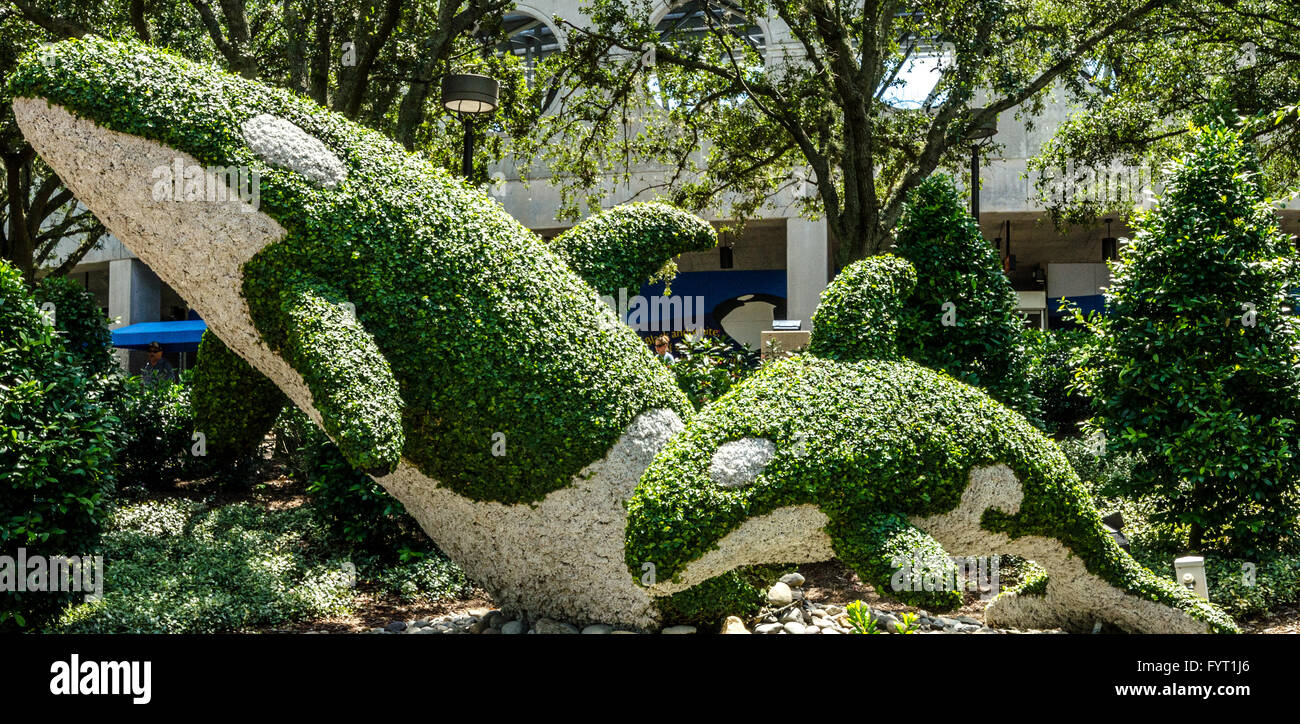 Flower Whale Sculpture Stock Photo - Alamy