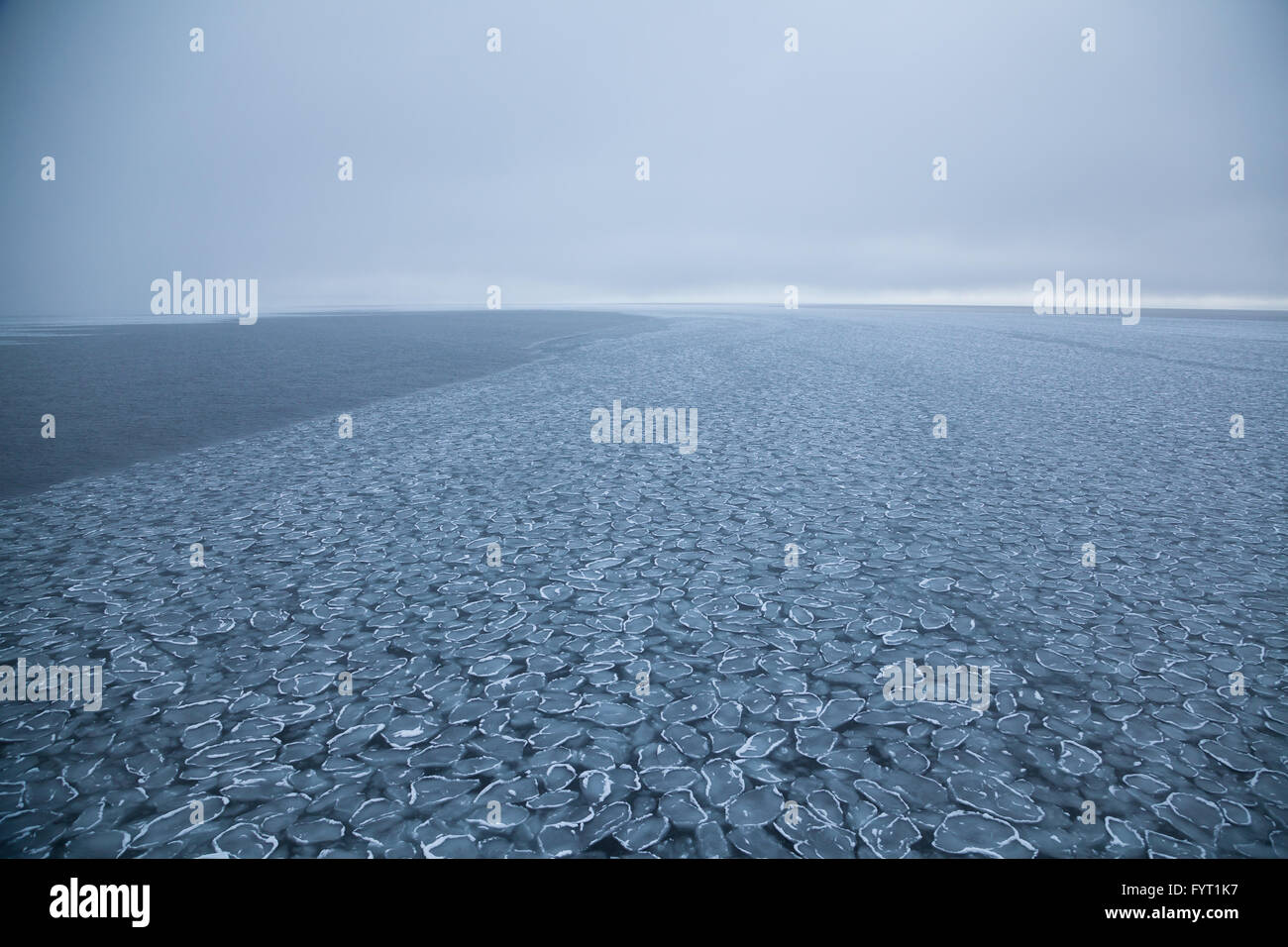 Pancake ice in the open sea in the Arctic Stock Photo - Alamy