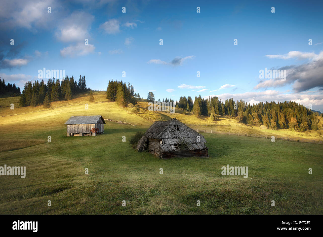 Carpathian mountain sunny hills Stock Photo - Alamy