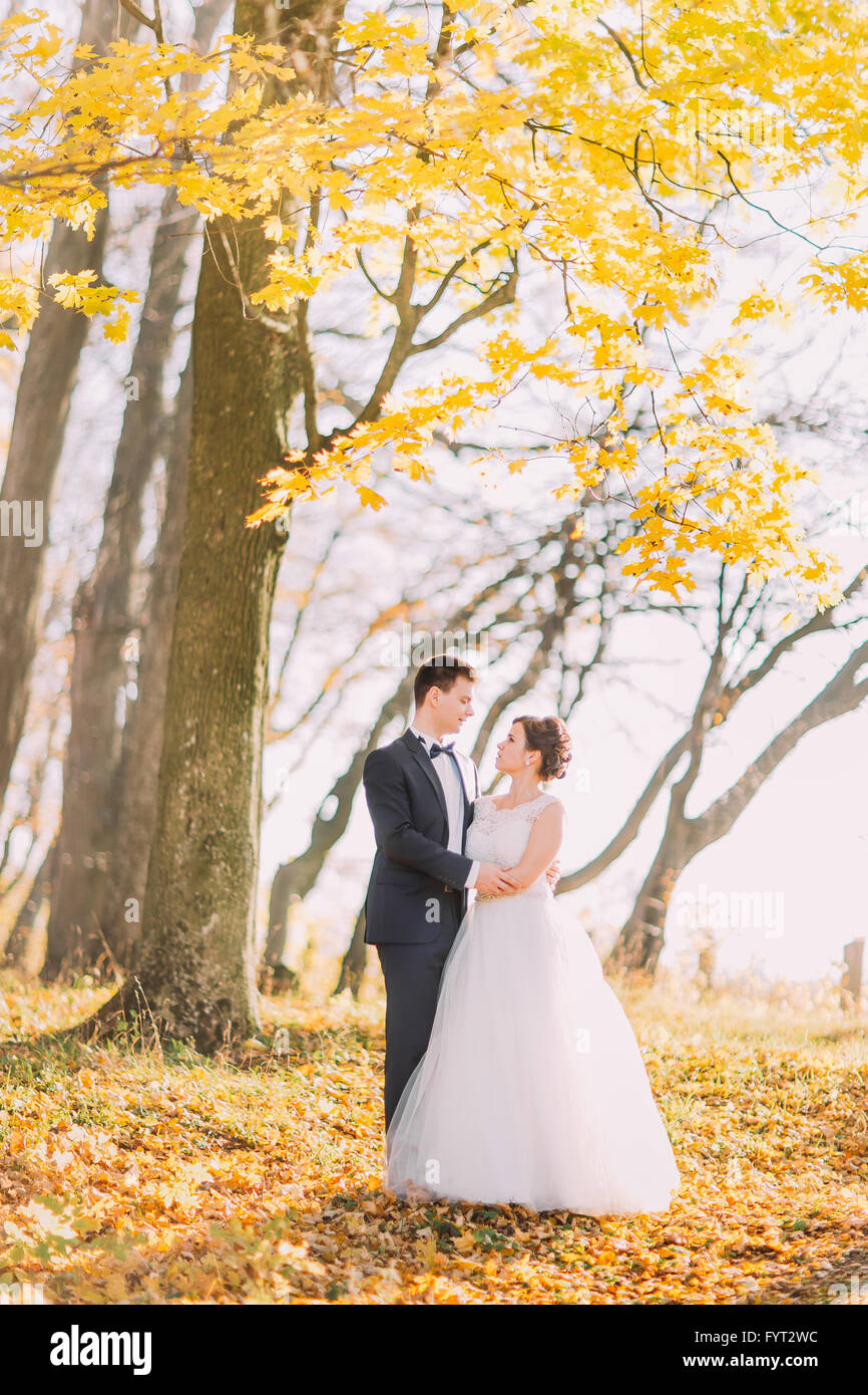 Smiling couple hugging in autumn park, forest, outdoors Stock Photo - Alamy