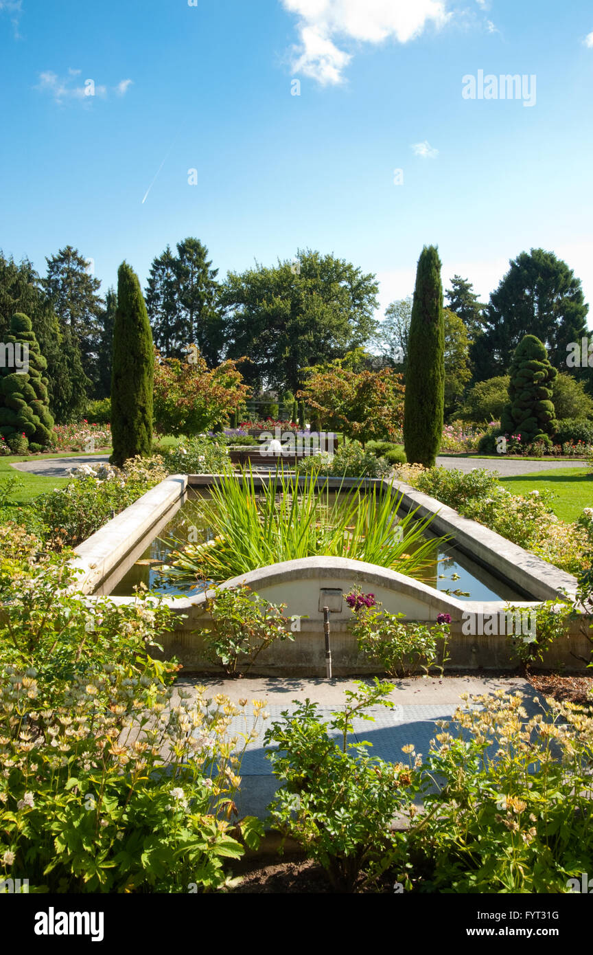 Woodland park rose garden washington hi-res stock photography and ...