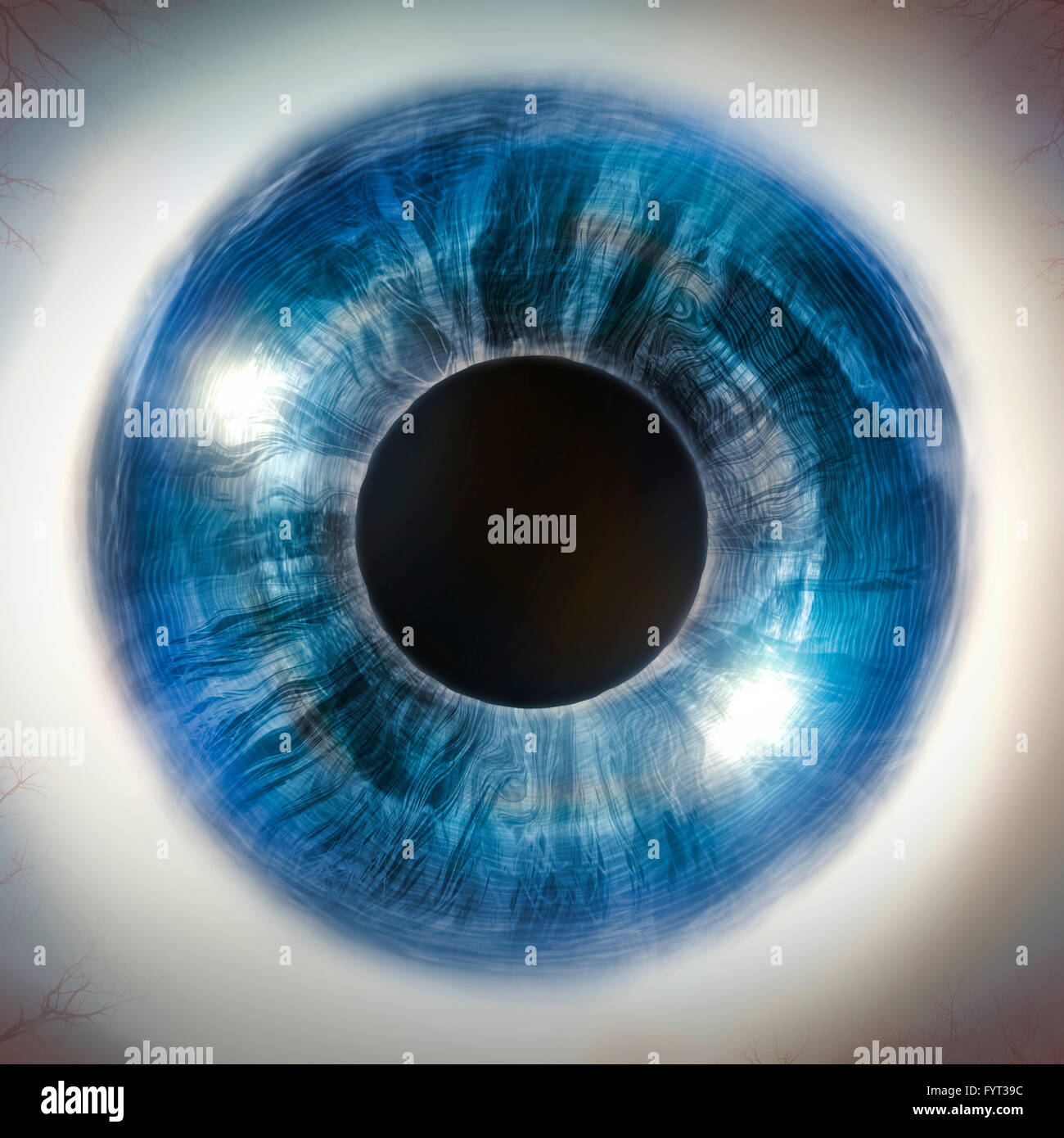 Macro extreme close up human eyeball background, 3D Illustration Stock ...