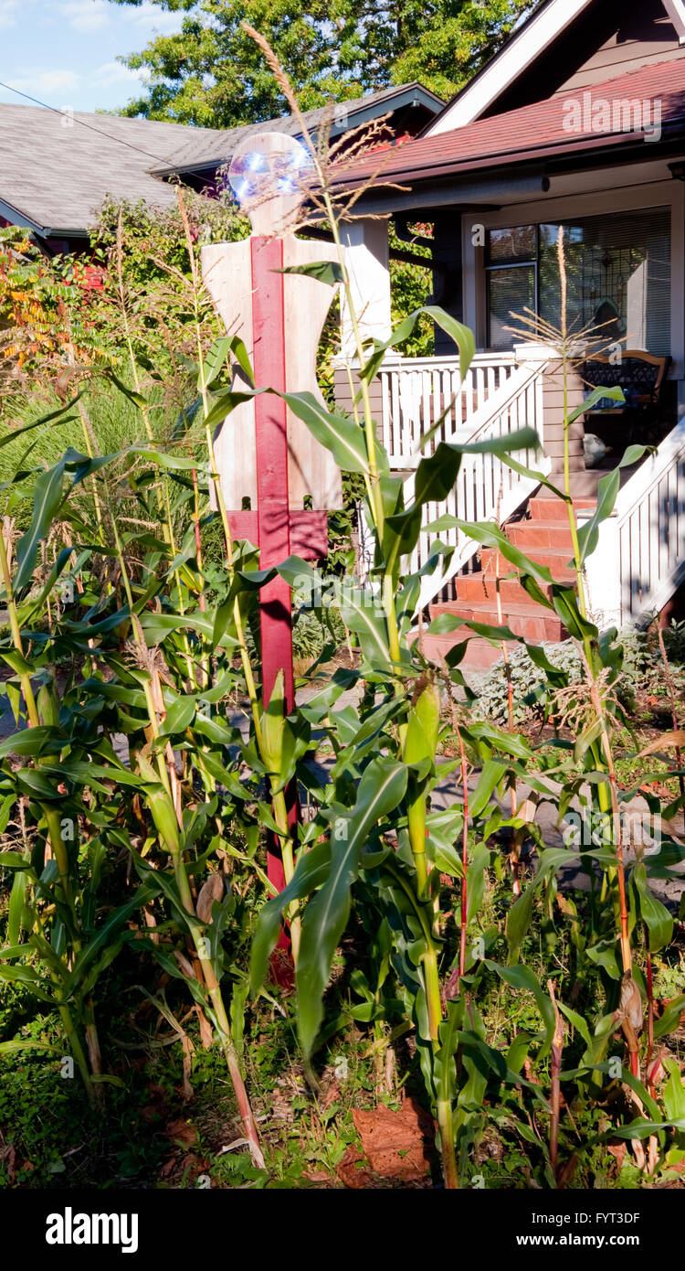 Scarecrow in the city Stock Photo - Alamy
