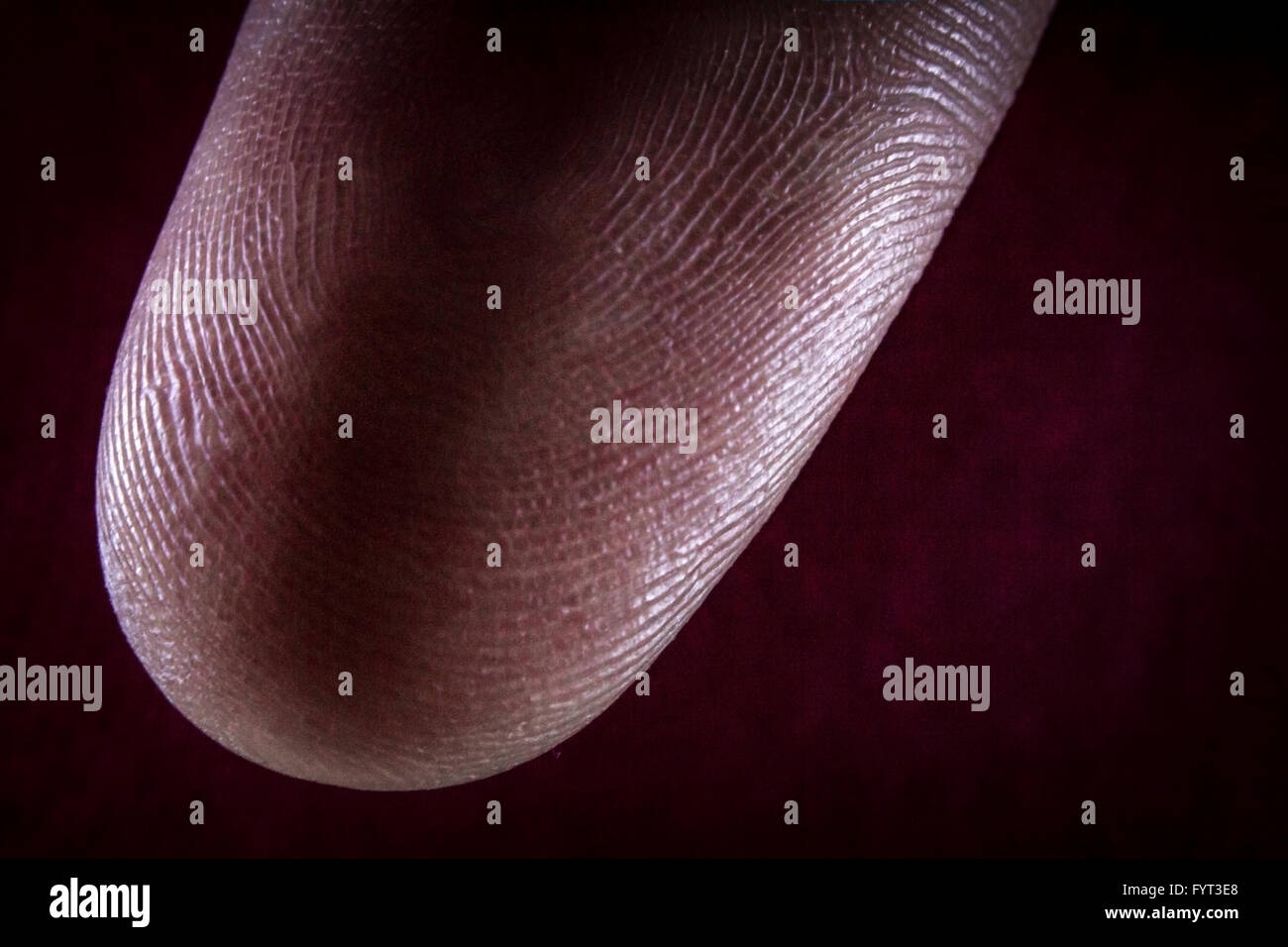 Human pointer finger macro close up of finger print Stock Photo - Alamy