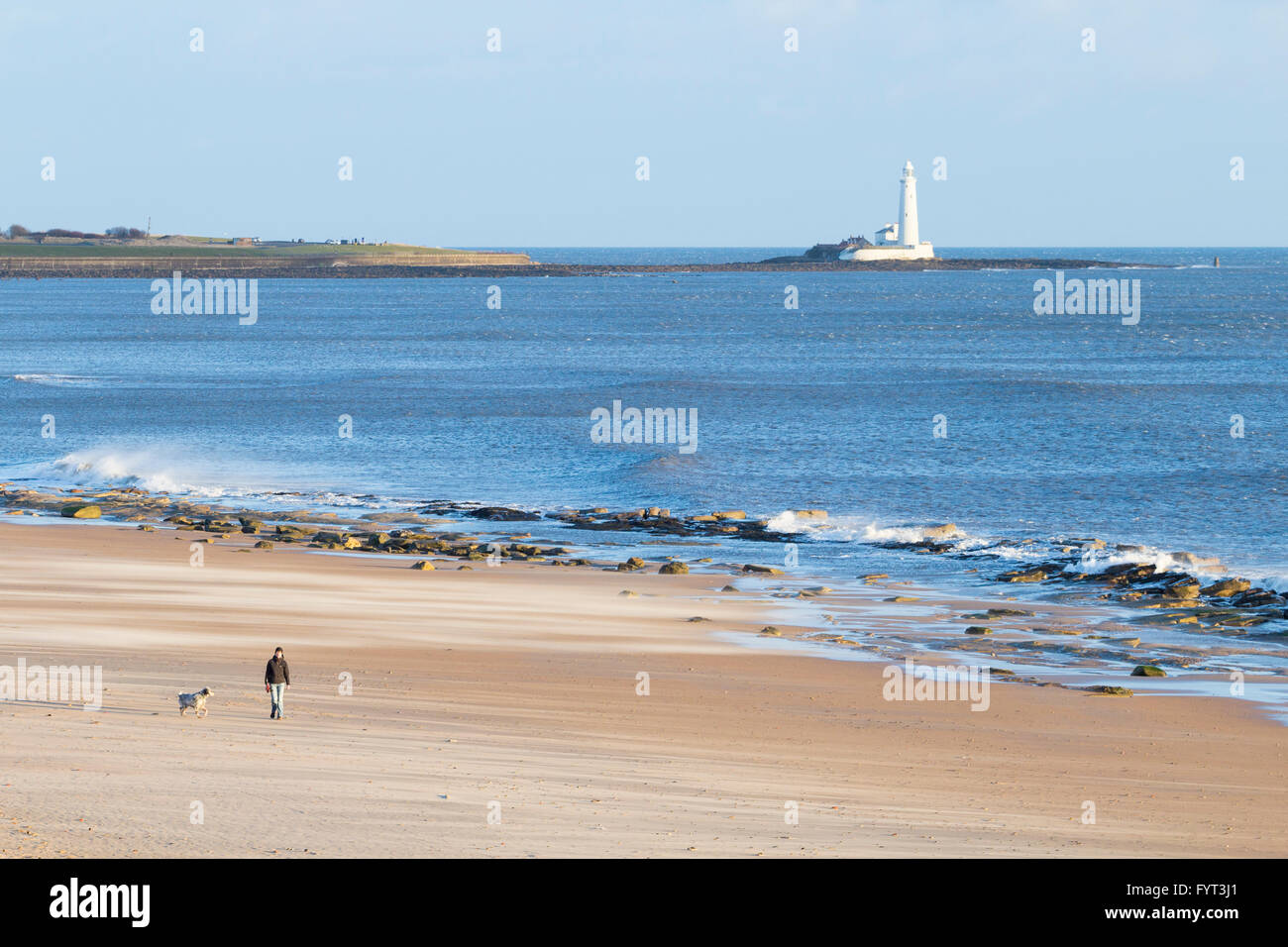 Dog walker on Whitley Bay beach with St Mary`s Lighthouse in distance ...