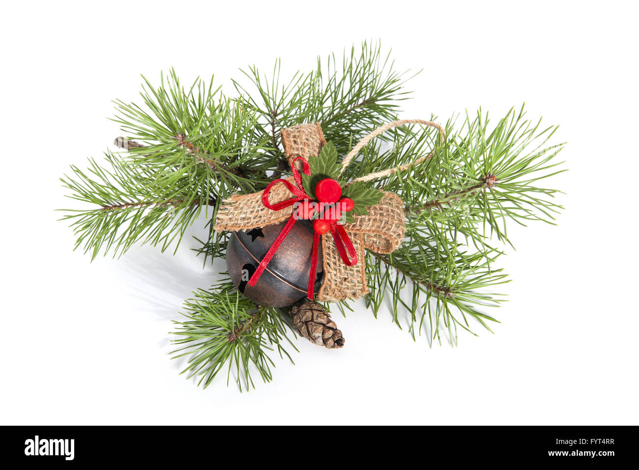 Fir cones on branch Cut Out Stock Images & Pictures - Alamy