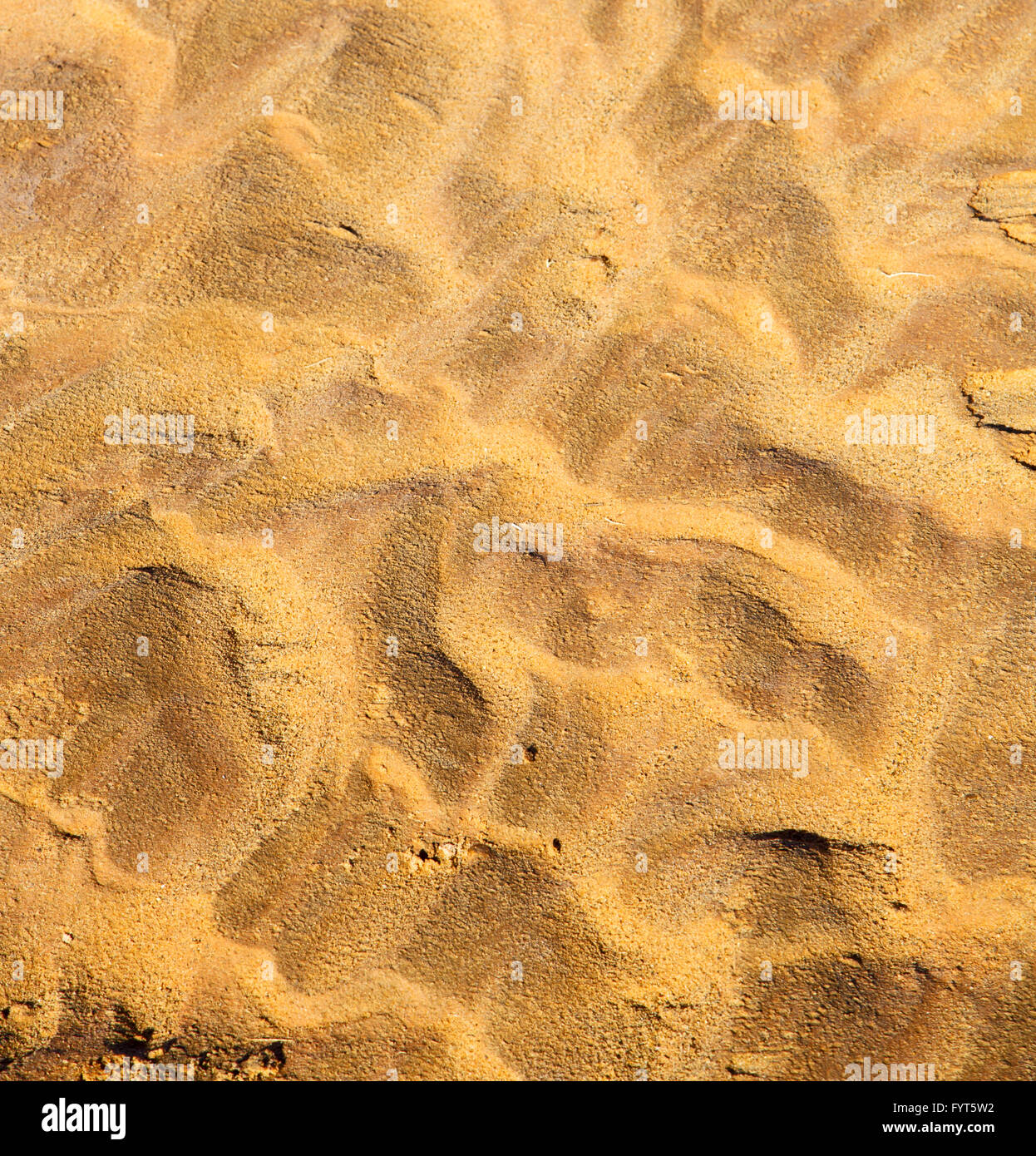 the brown sand dune in the sahara morocco desert Stock Photo - Alamy