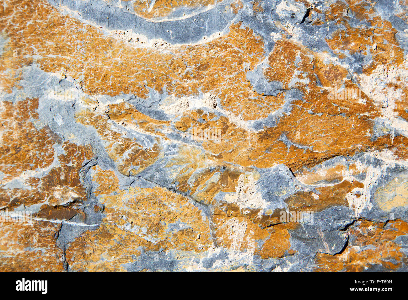 Orange gneiss hi-res stock photography and images - Alamy