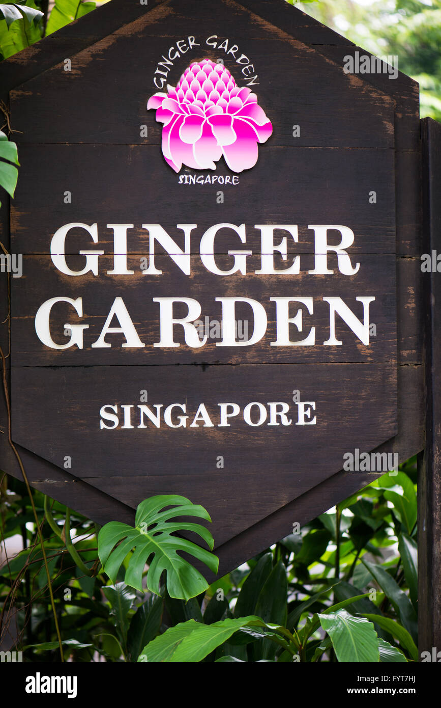 Singapore botanic gardens ginger garden hi-res stock photography and ...