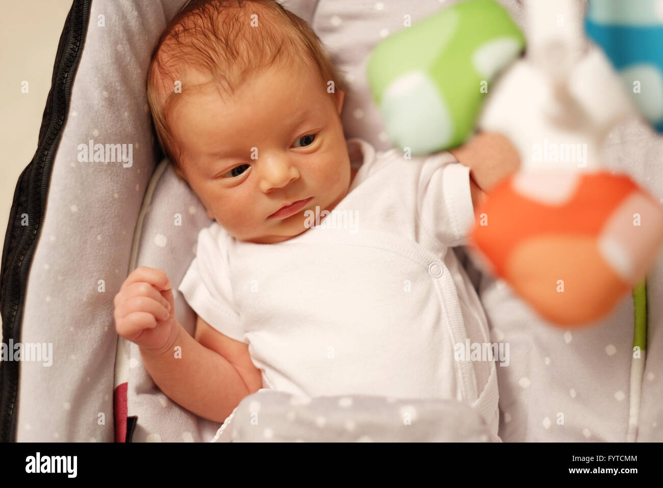 Two weeks old newborn baby Stock Photo - Alamy