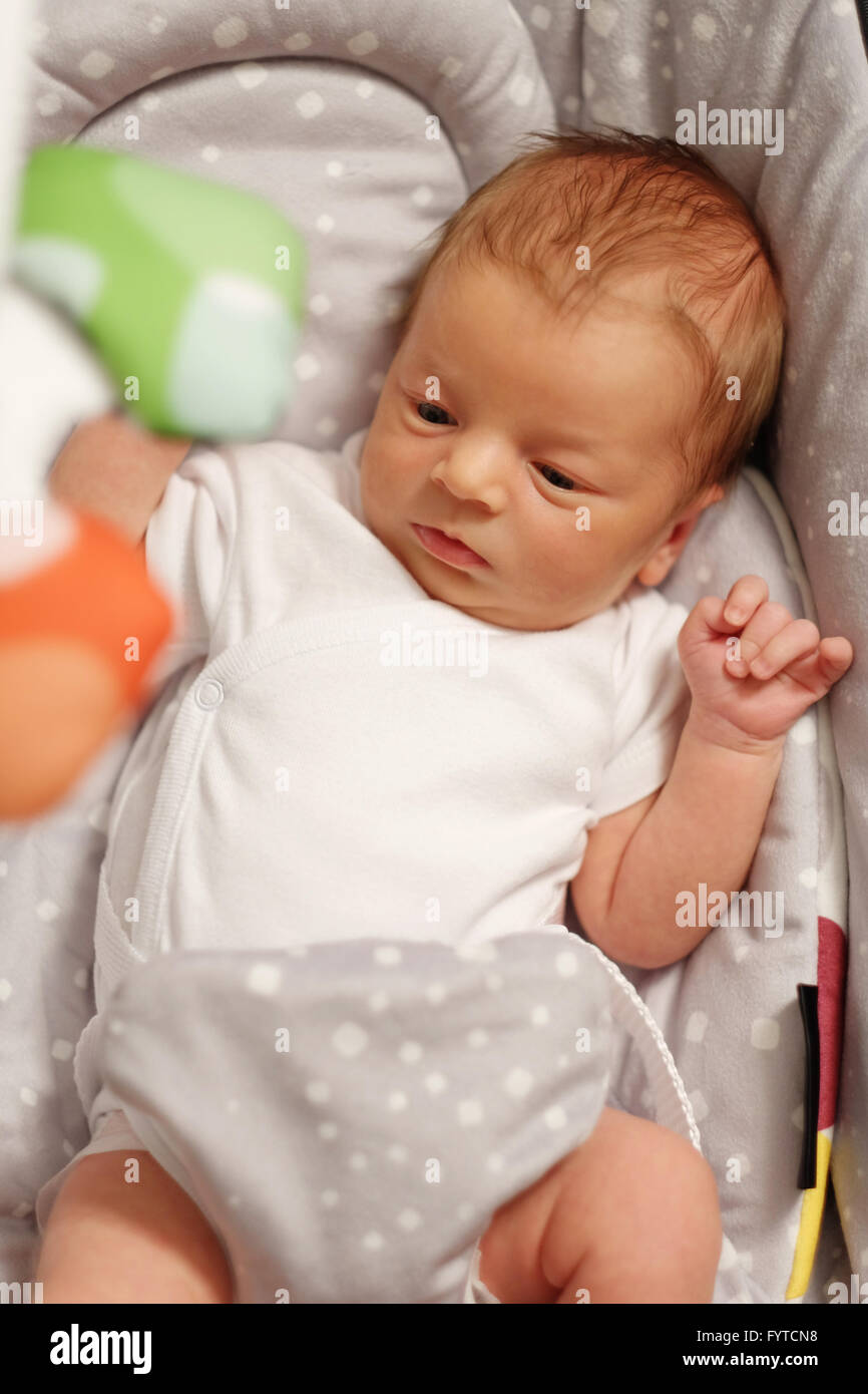 Two weeks old newborn baby Stock Photo - Alamy