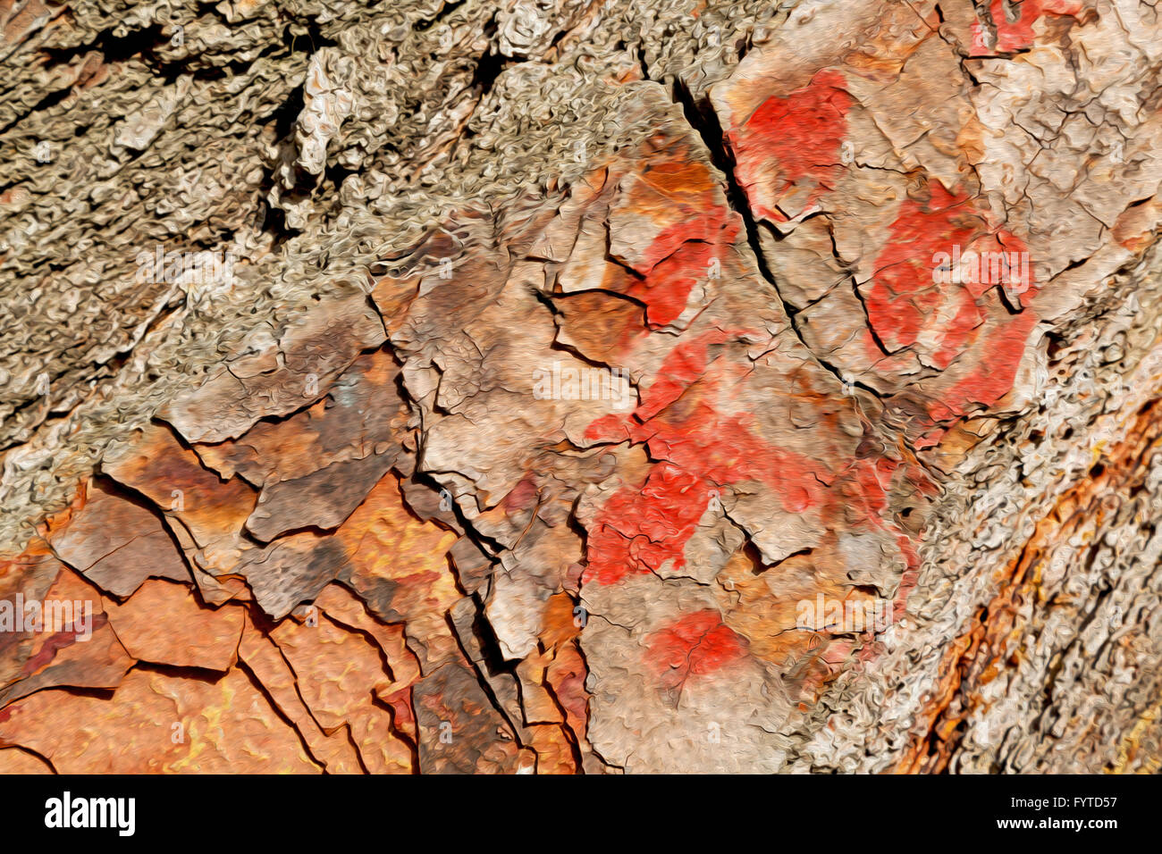 barck in the abstract close up of a tree color and texture Stock Photo ...