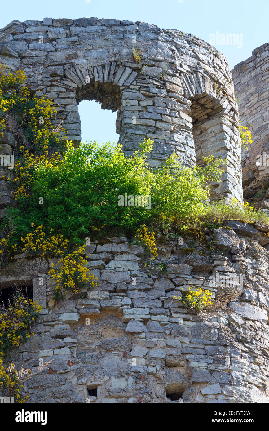 The ruins of a medieval castle Stock Photo - Alamy