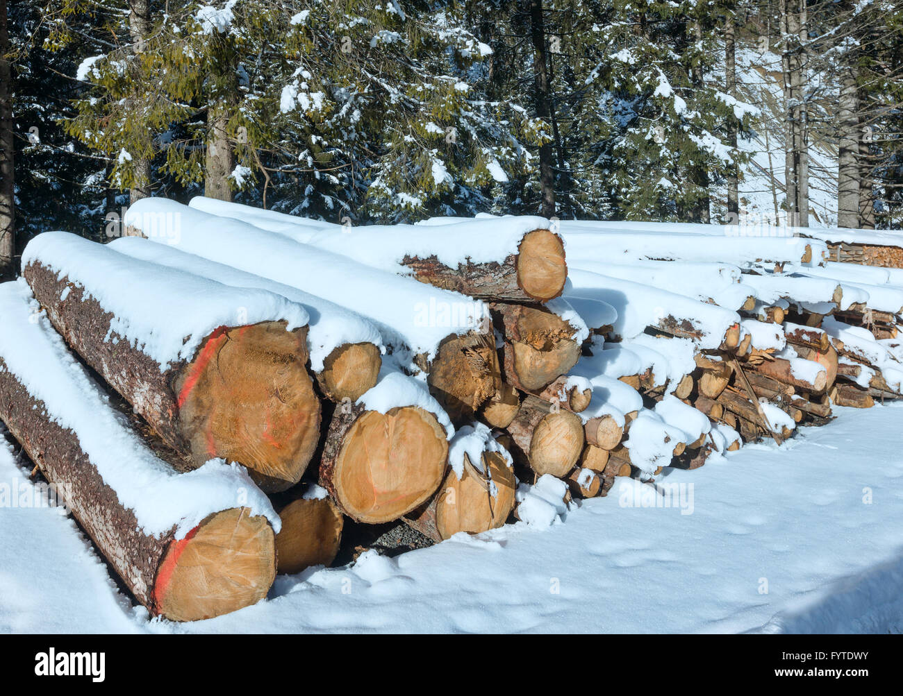Firewood road hi-res stock photography and images - Alamy