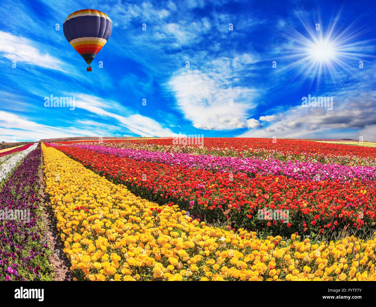 Over the field in sky flying big balloon Stock Photo - Alamy